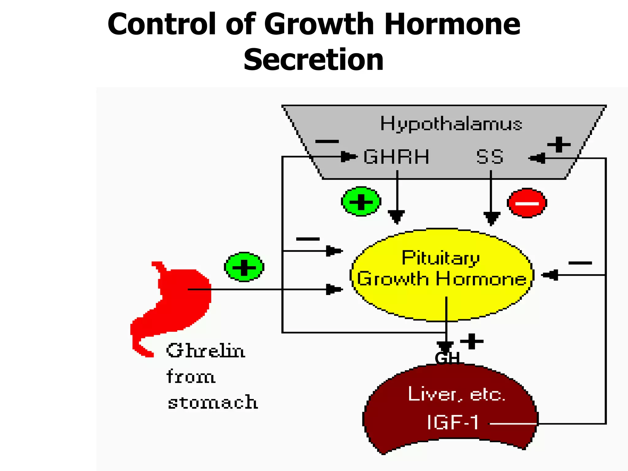 Growth Hormone.ppt