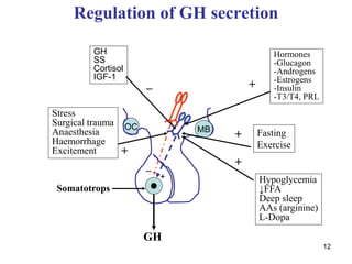 Growth Hormone.ppt