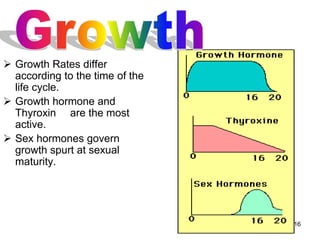 Growth Hormone.ppt