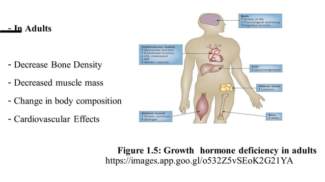 Growth hormone abnormalities upregulation and downregulation of growth ...