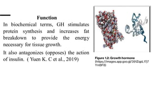 Growth hormone abnormalities upregulation and downregulation of growth ...