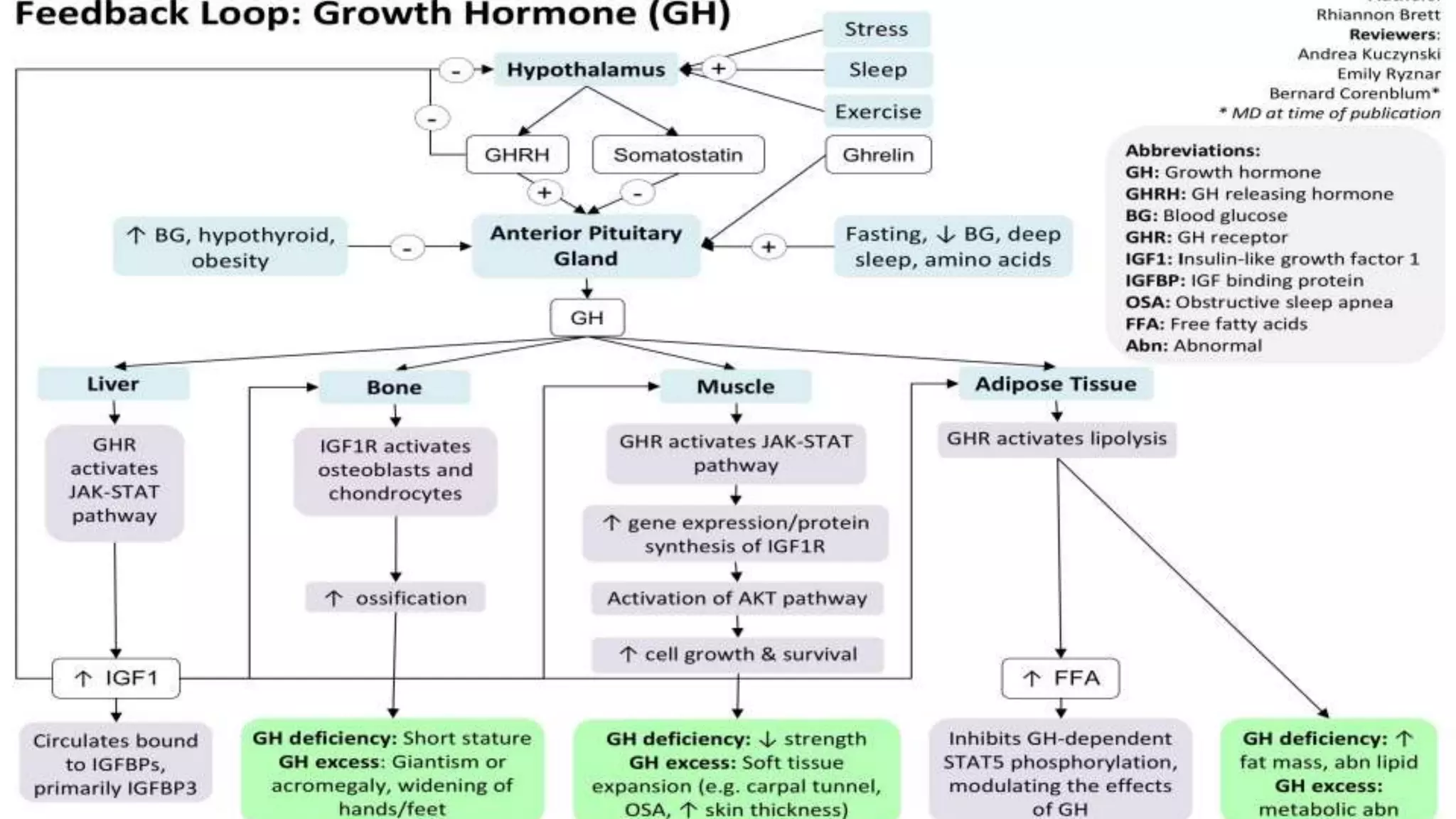 Growth Hormone | PPTX