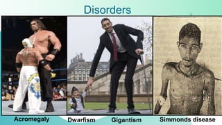 Growth Hormone | PPTX
