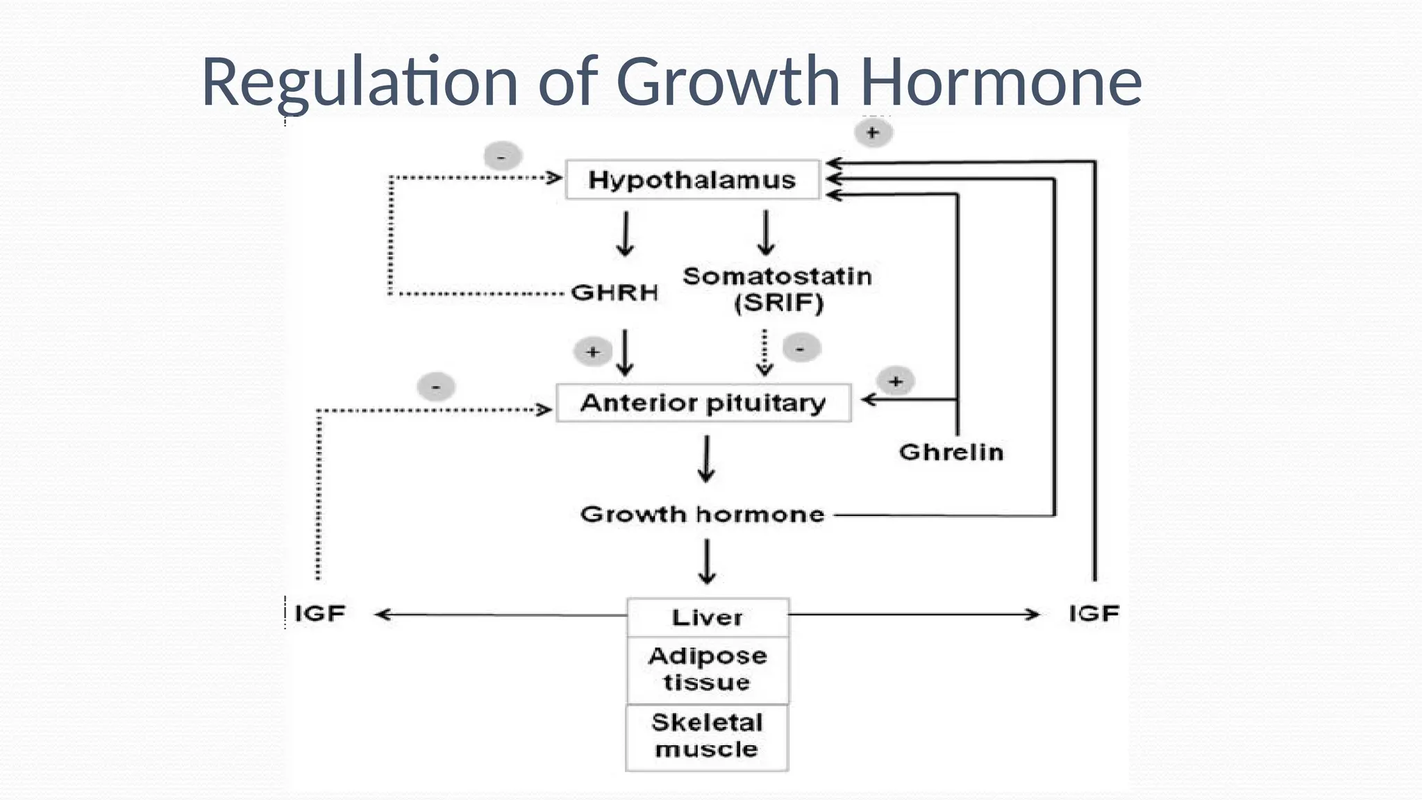 Growth Hormone physiology by Dr nooria ppt | PPT