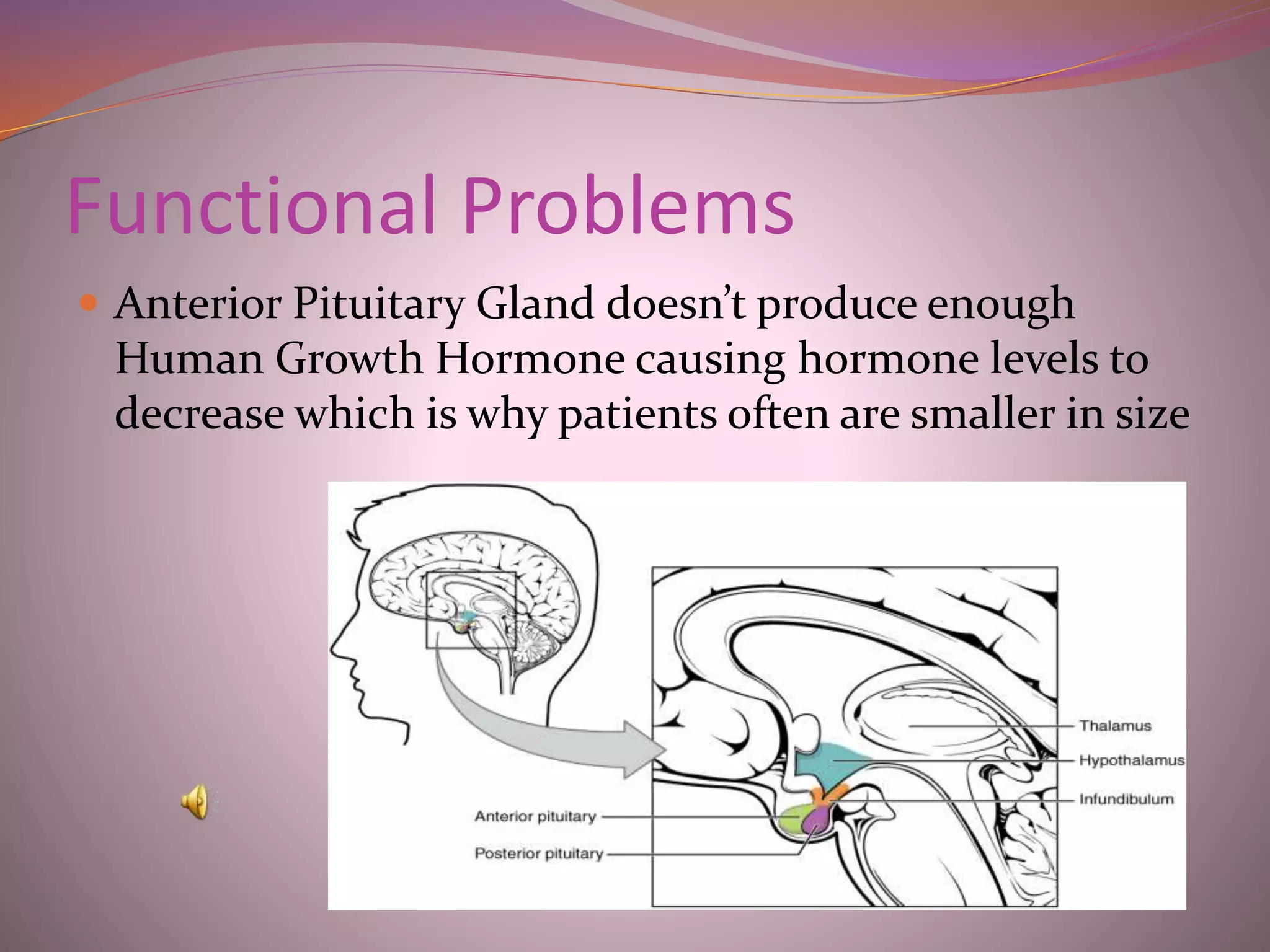 Growth hormone presentation human anatomy | PPTX