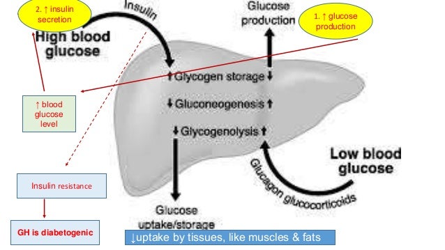 Growth hormone