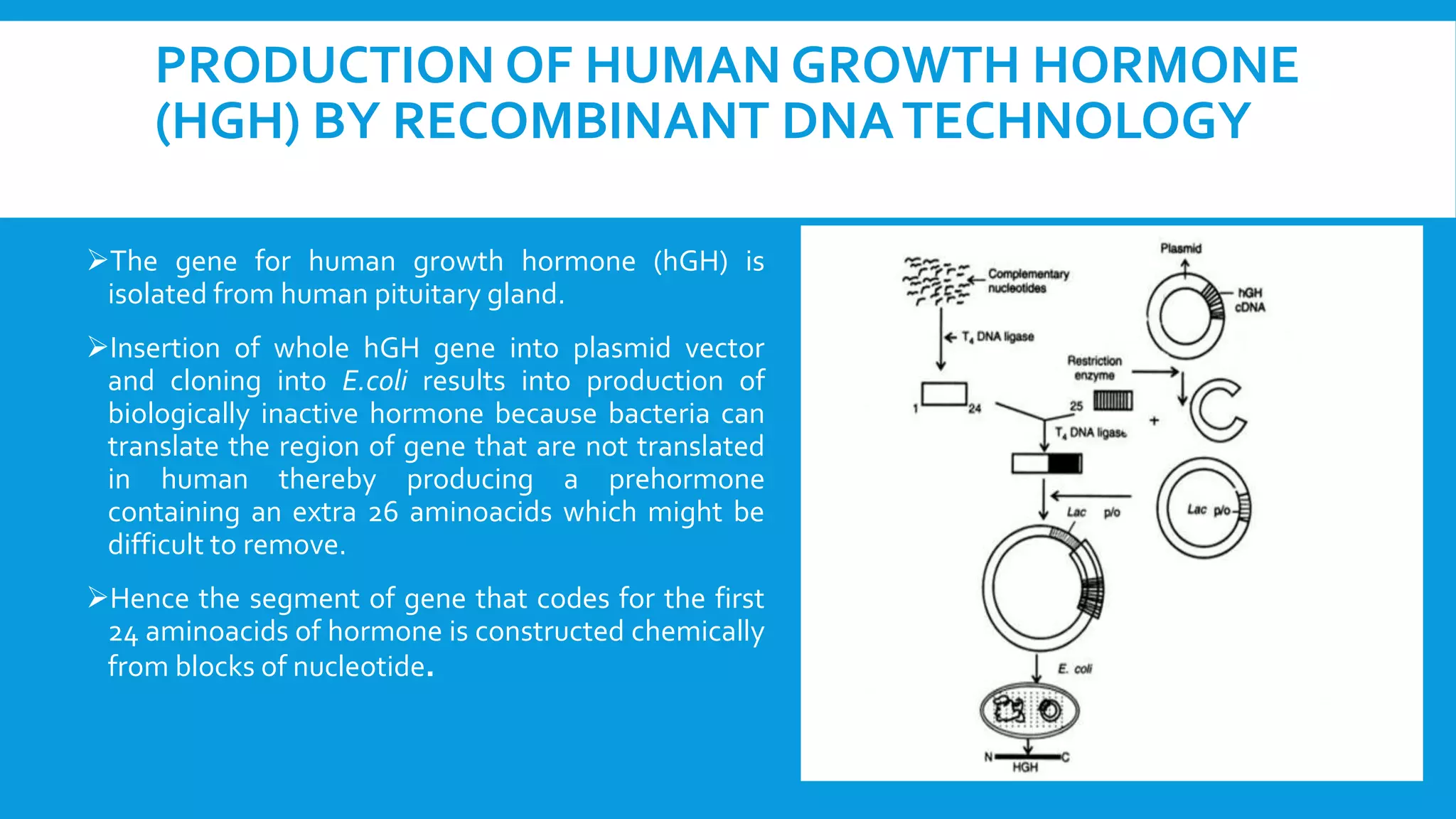 Growth hormones | PPTX