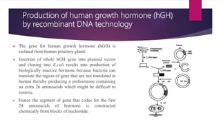 Growth hormones | PPTX