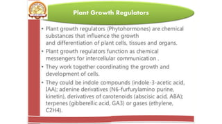 Growth Regulators (Growth Hormones) | PPTX