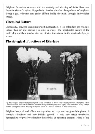 Growth Hormones write-up.docx