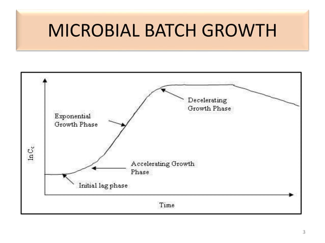 Growth kinetics | PPTX | Chemistry | Science