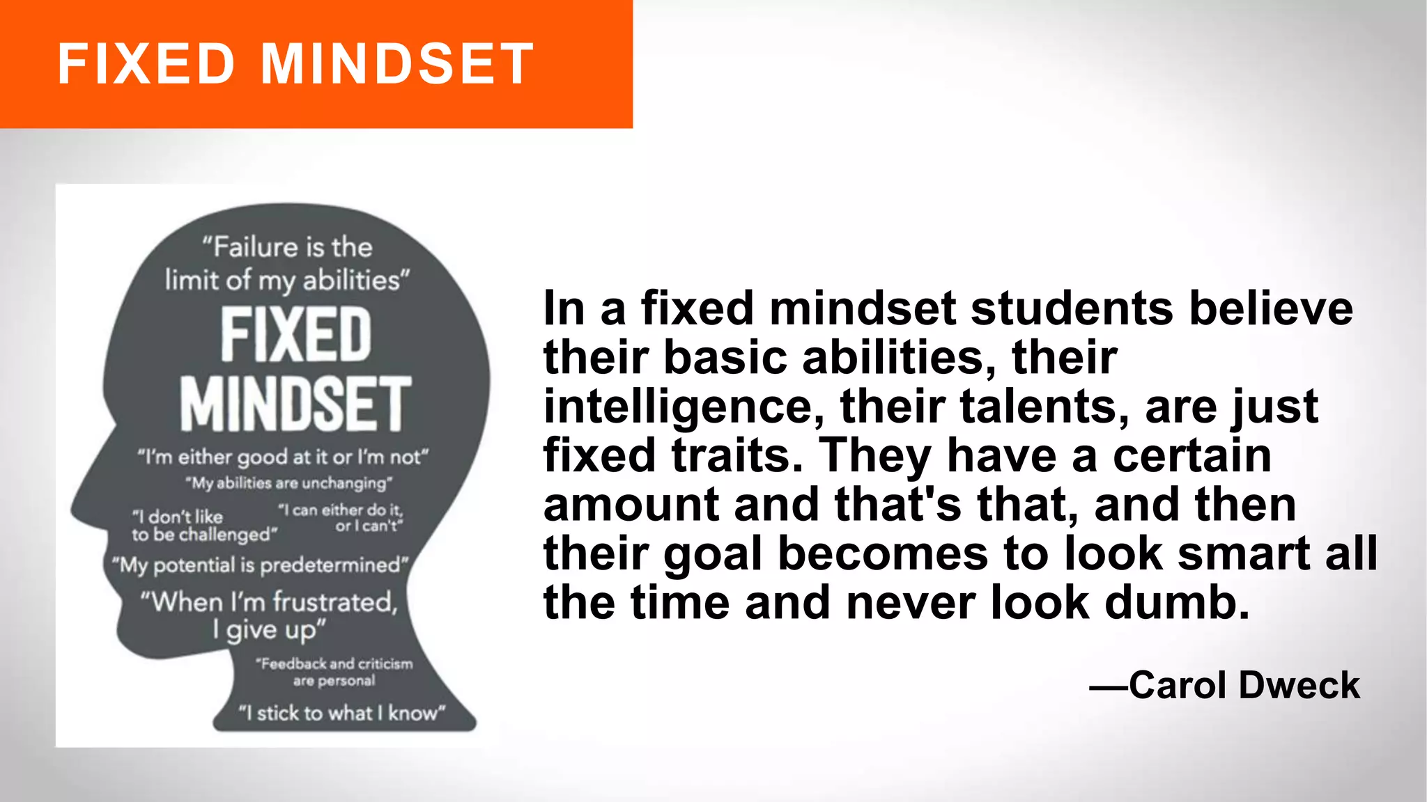 Fostering a Growth Mindset | PPTX