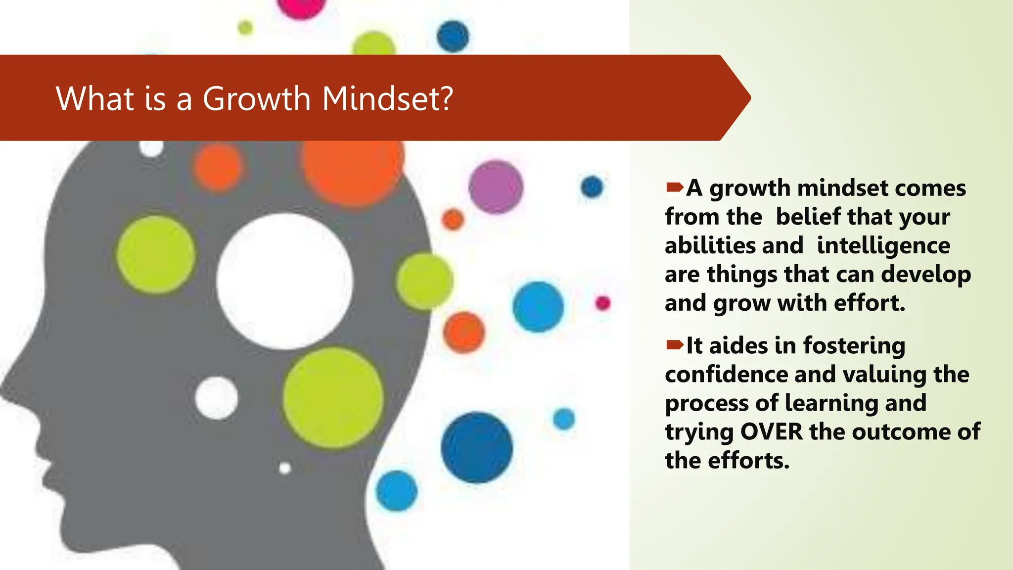 Growth_Mindset Training for Teaching Staff.pptx
