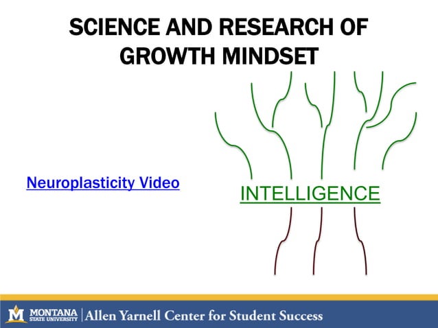 Growth Mindset Lesson | PPT