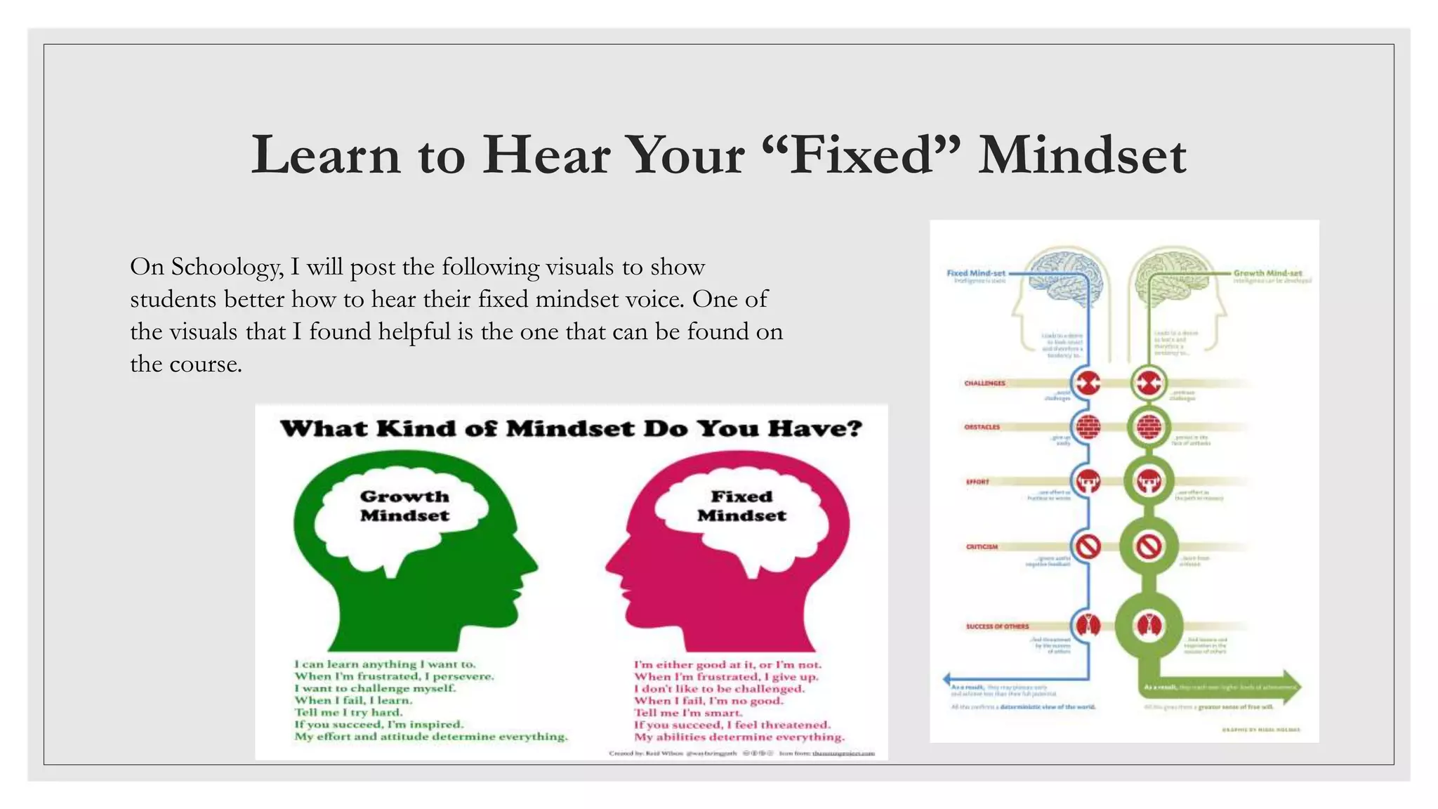 Growth mindset plan | PPTX