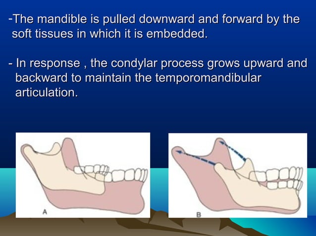 Growth Modification Treatment | PPT