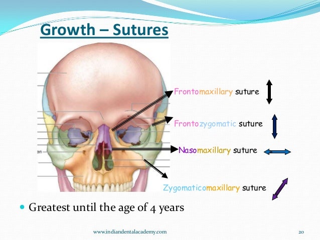 Growth modulation /certified fixed orthodontic courses by Indian den…