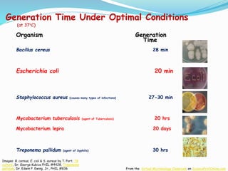 Growth, nutrition and metabolism of bacteria by Dr. Rakesh Prasad Sah ...