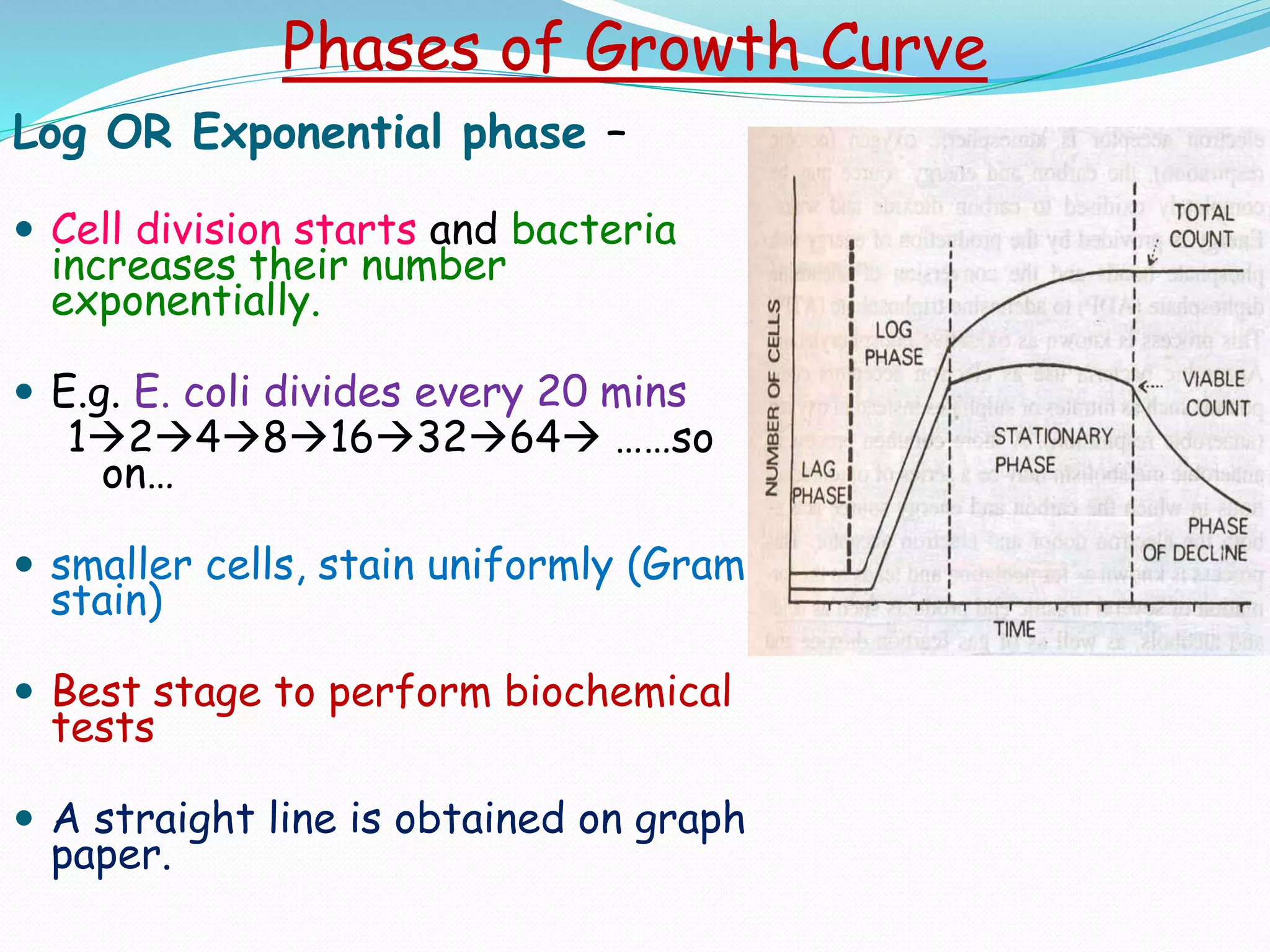 Physiology of Bacteria.pptx