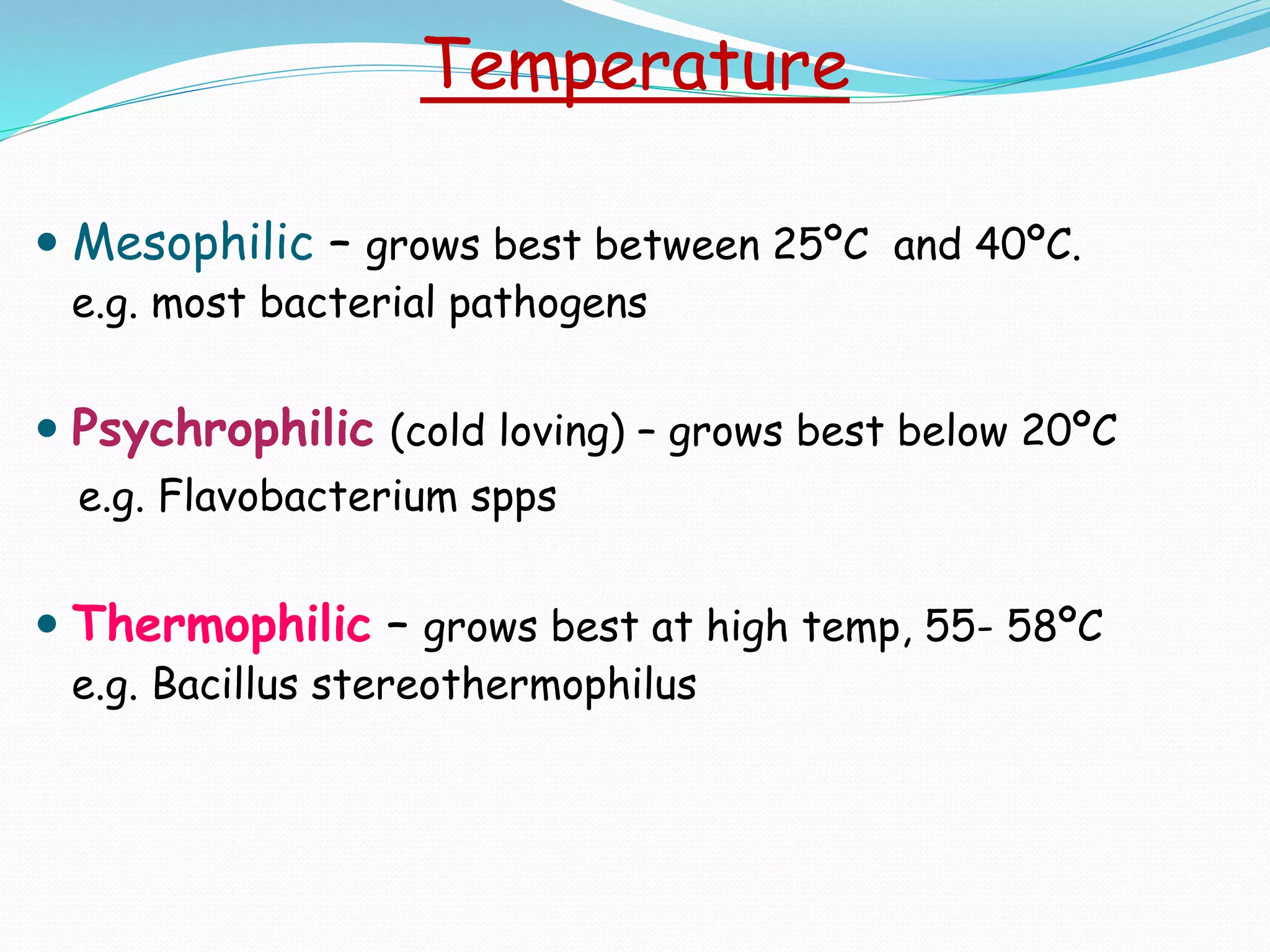 Physiology of Bacteria.pptx