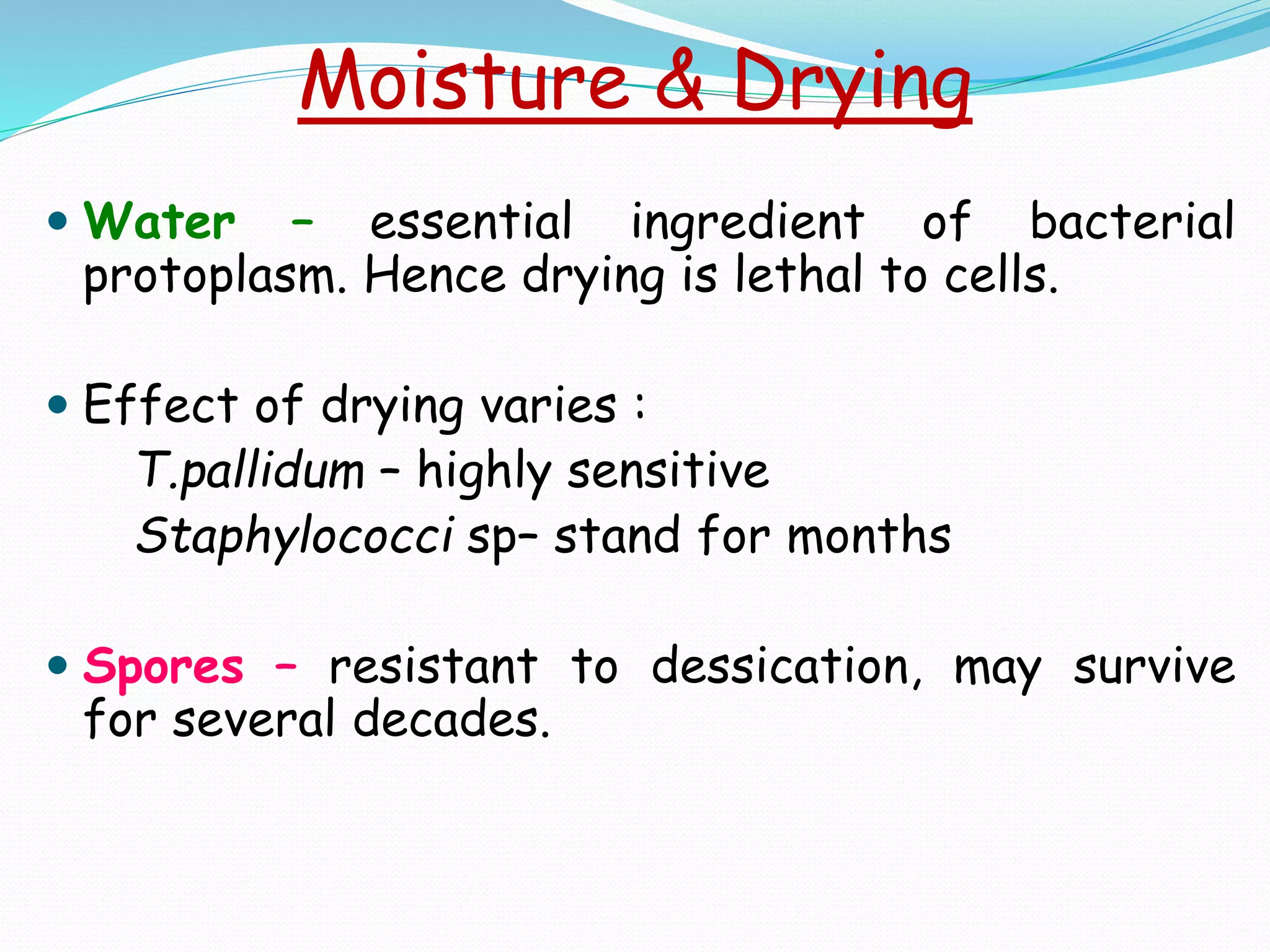 Physiology of Bacteria.pptx