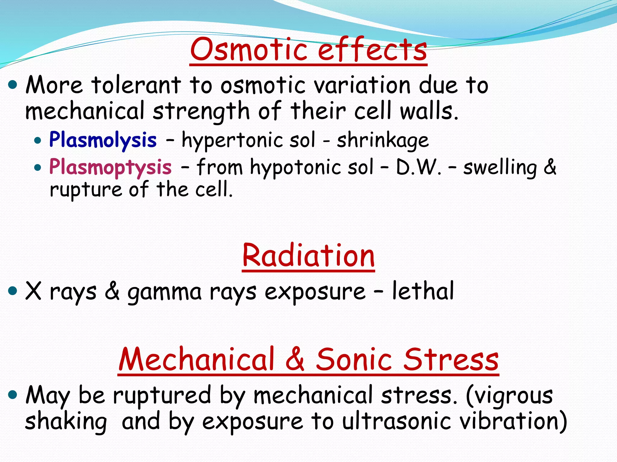 Physiology of Bacteria.pptx