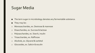 Growth & nutrition of bacteria | PPTX
