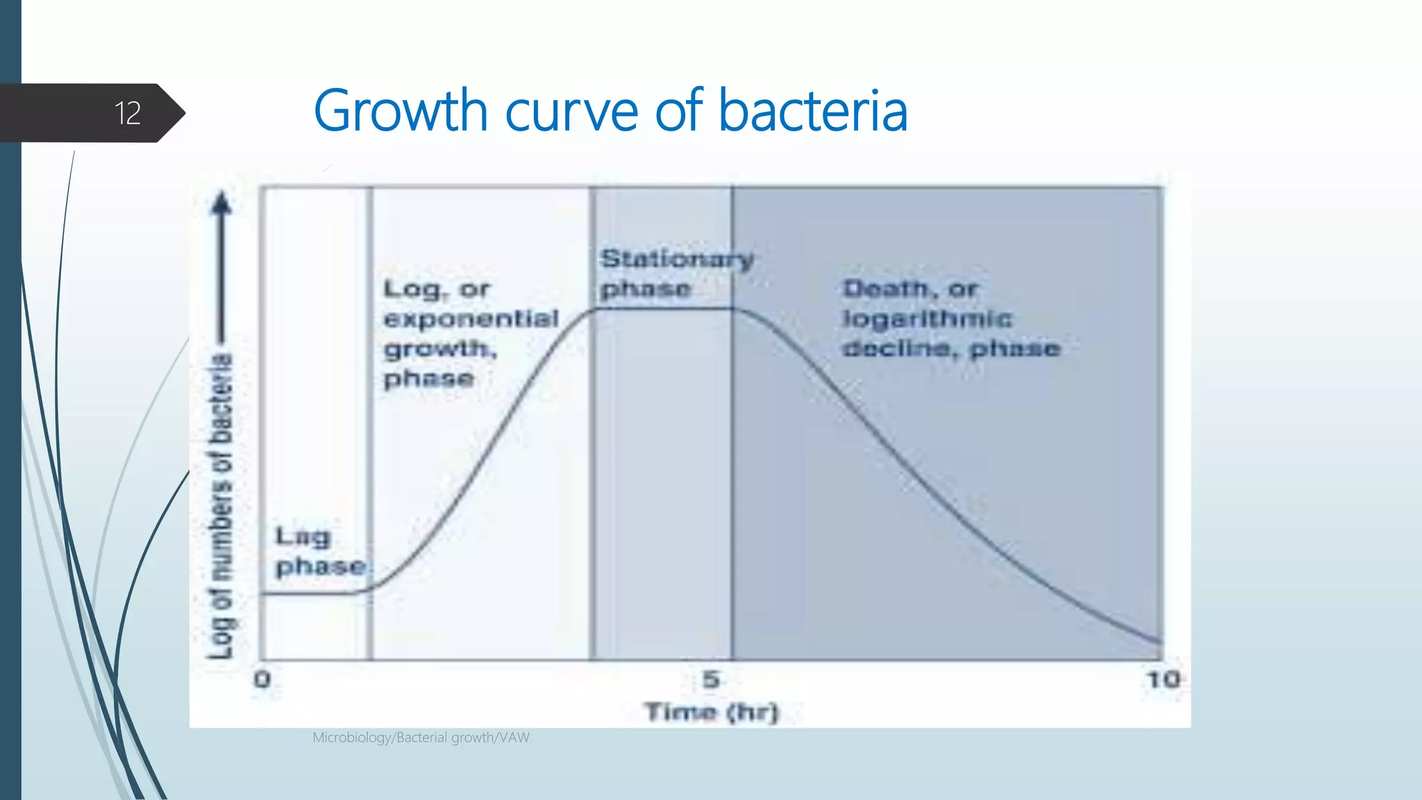 Growth of bacteria | PPTX