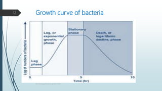 Growth of bacteria | PPTX