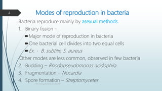 Growth of bacteria | PPTX