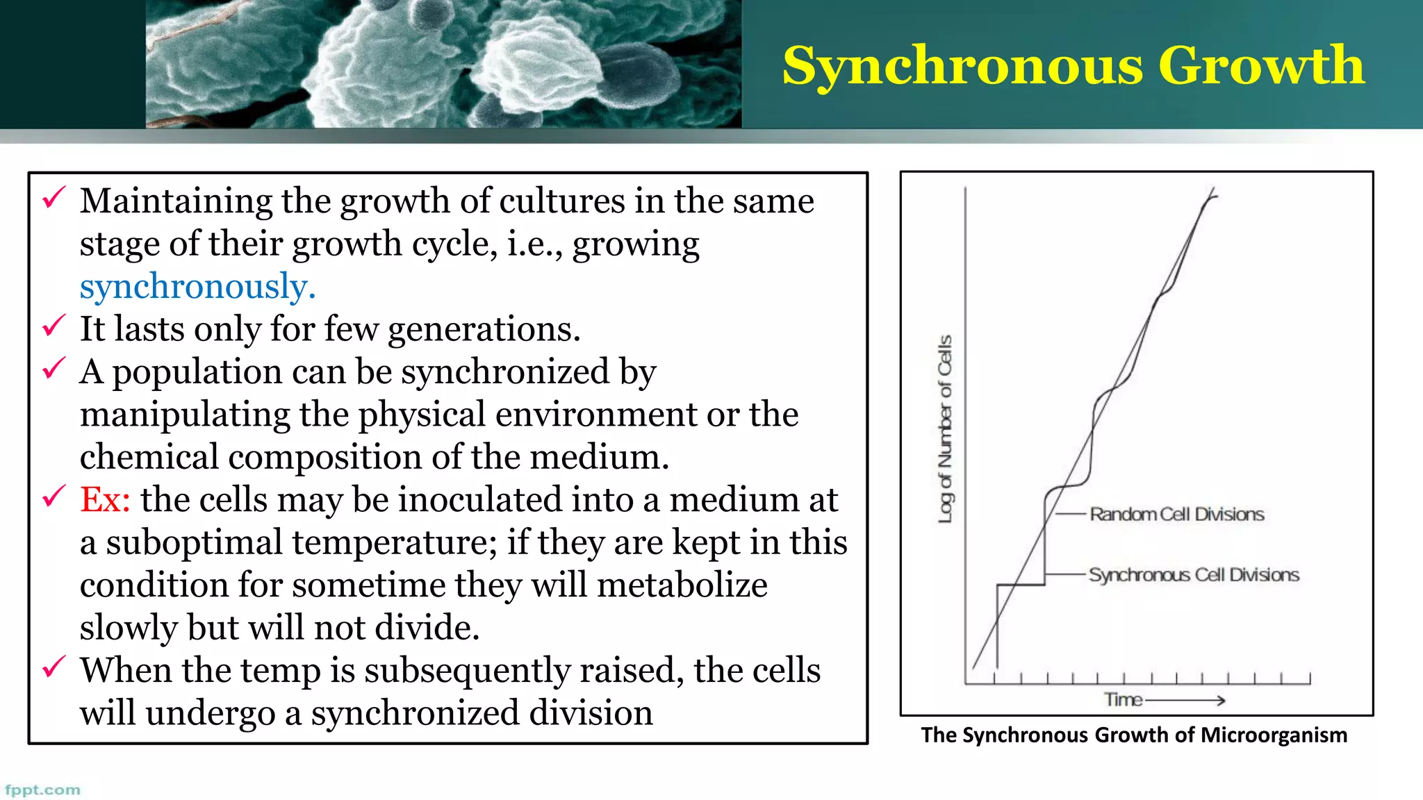 Growth of bacteria | PDF