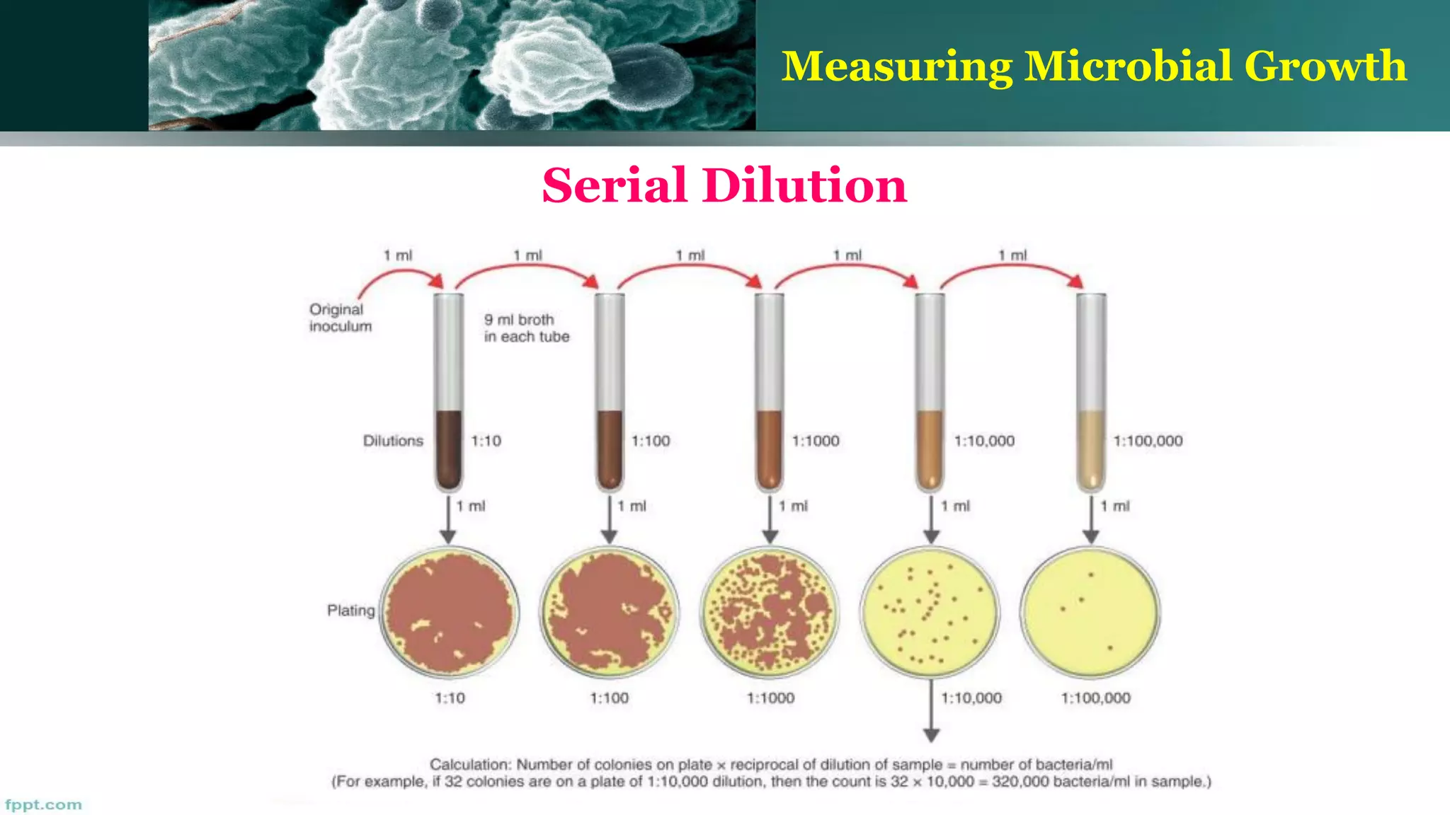 Growth of bacteria | PDF