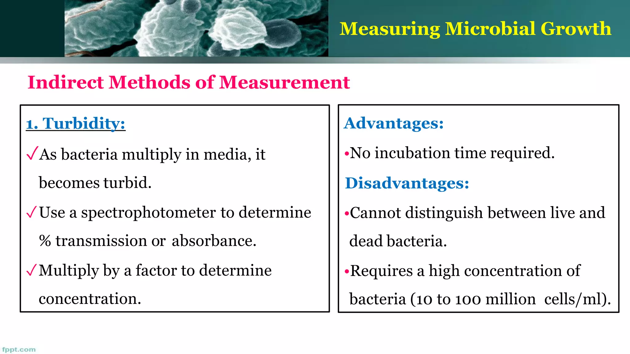 Growth of bacteria | PDF