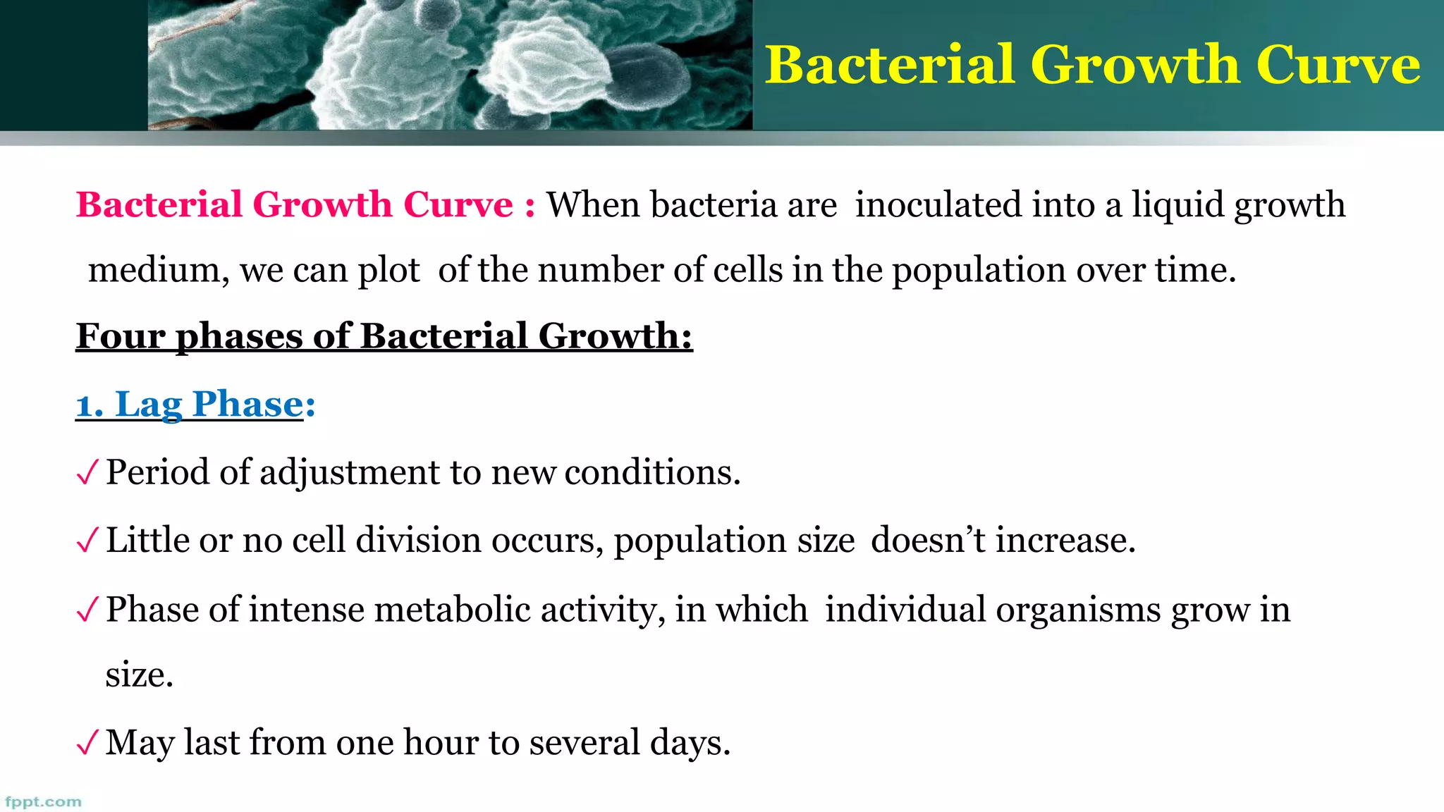 Growth of bacteria | PDF