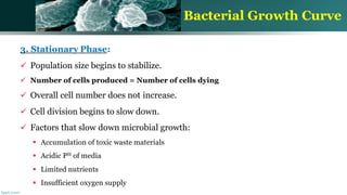 Growth of bacteria | PDF