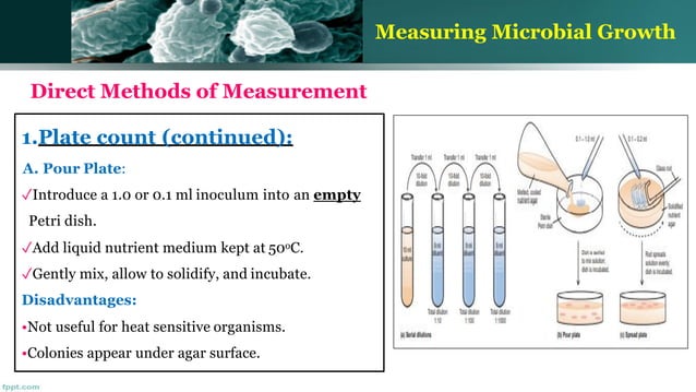 Growth of bacteria | PDF