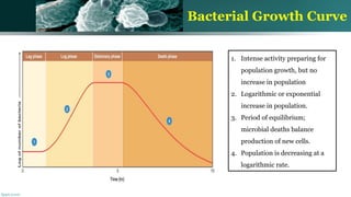 Growth of bacteria | PDF
