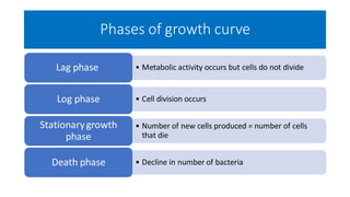 Growth of Bacteria.pdf