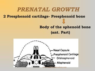 Growth of cranial vault and base /fixed orthodontic courses | PPT