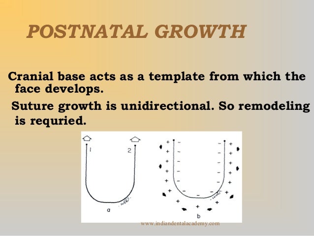 Growth of cranial vault and base /certified fixed orthodontic course…