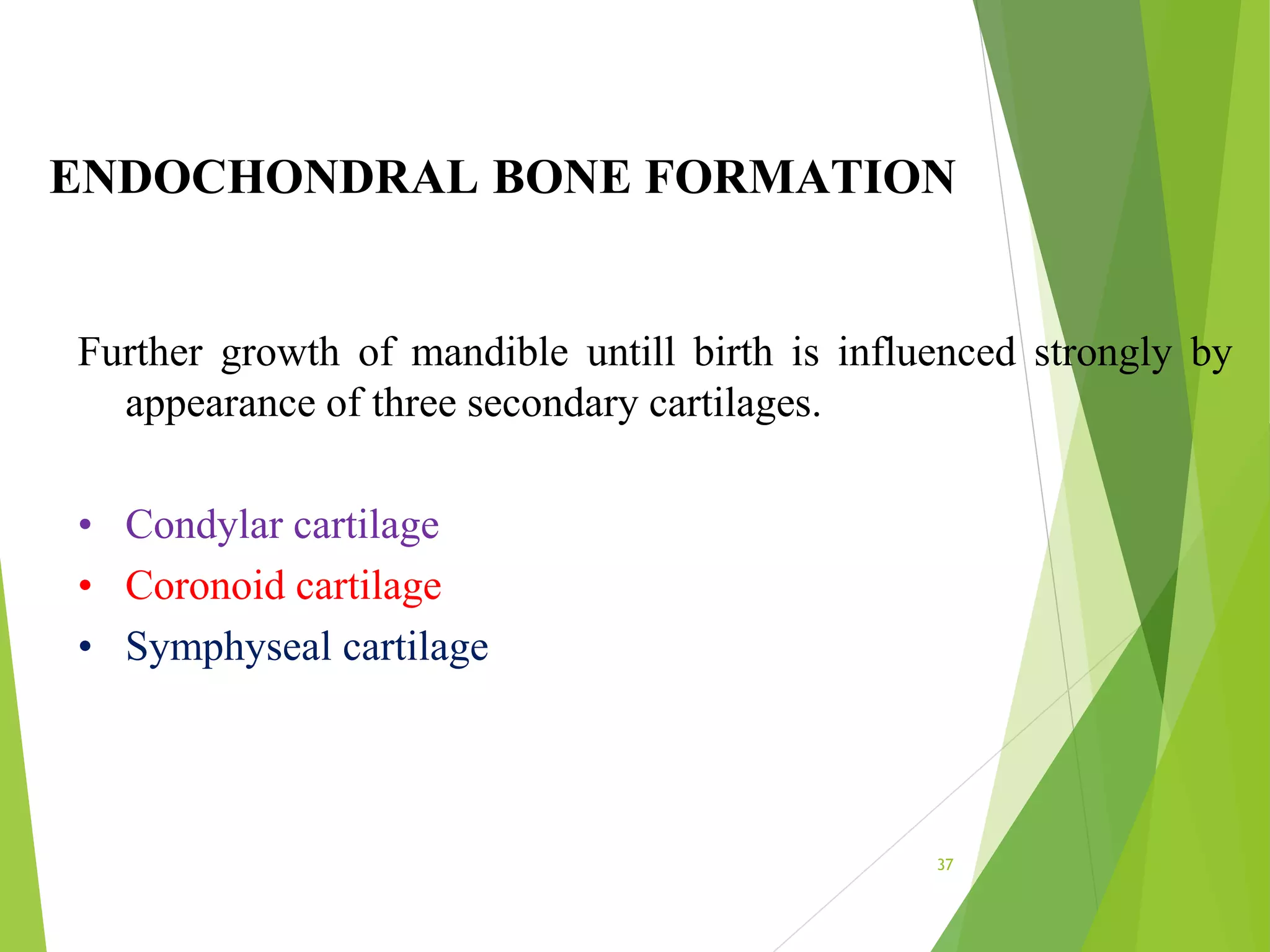 Growth and development of mandible | PPT