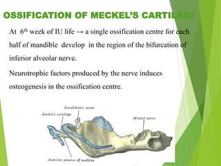 Growth and development of mandible | PPT
