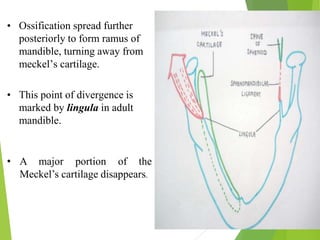 Growth and development of mandible | PPT