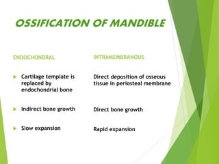 Growth and development of mandible | PPT