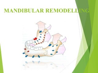 Growth and development of mandible | PPT