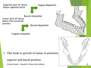 Growth and development of mandible | PPT