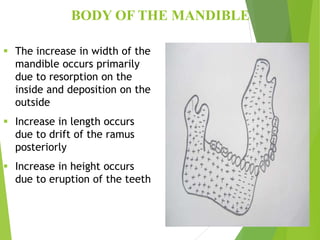 Growth and development of mandible | PPT
