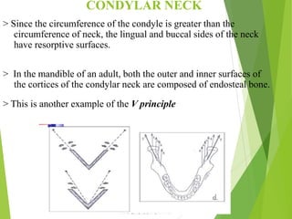 Growth and development of mandible | PPT