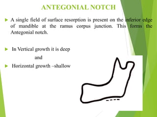 Growth and development of mandible | PPT