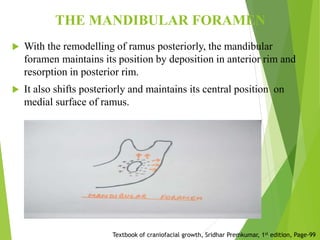 Growth and development of mandible | PPT